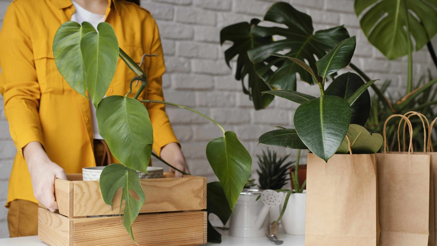 Plant Label Printers |GoDEX Nursery & Greenhouse Tag Systems
